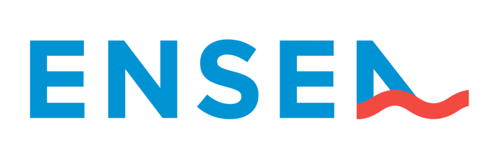 ENSEA DMCC – Oil and Gas Services – Your Reliable Partner